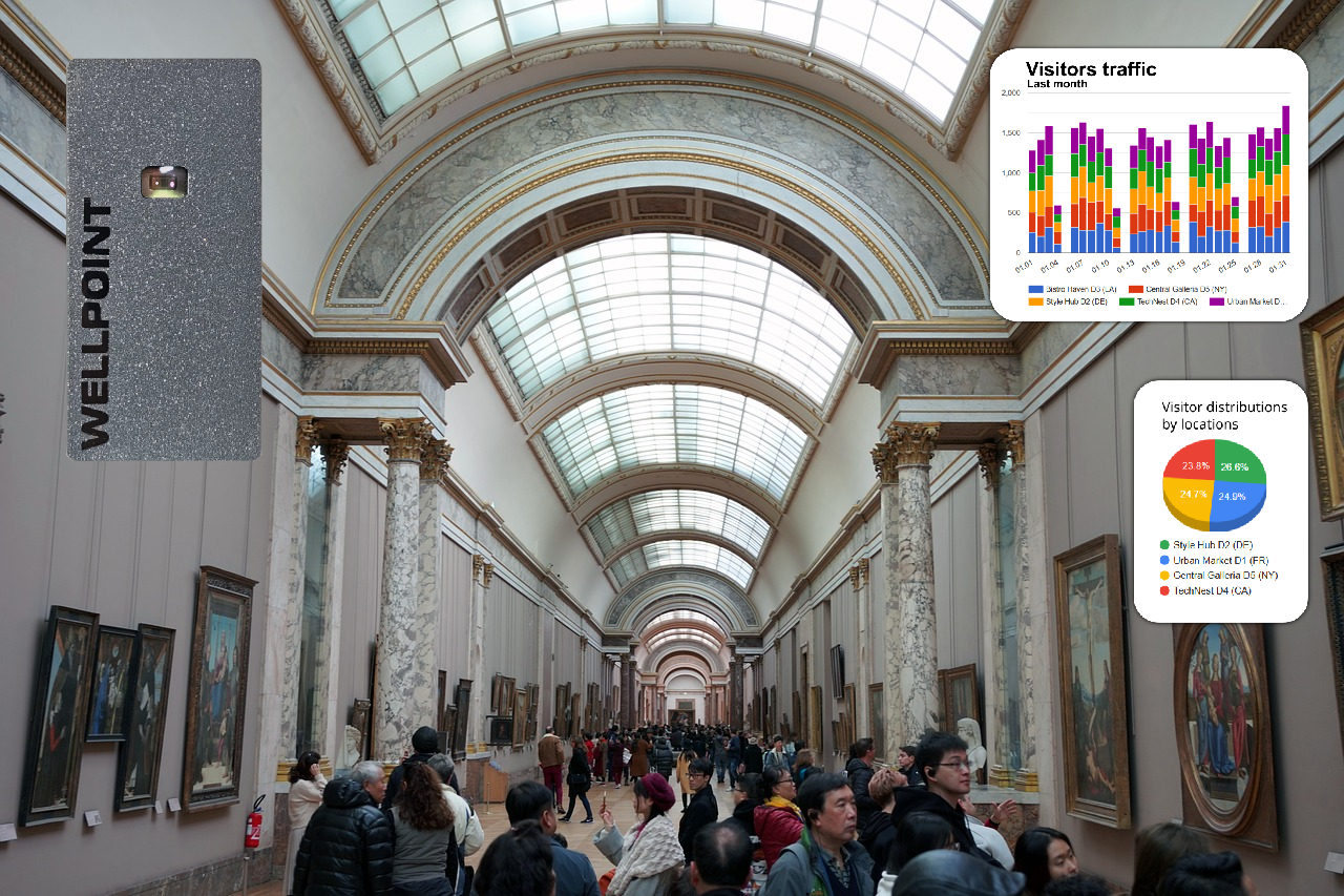 Optimizing Visitor Tracking: Set Time Zones & Locations with Wellpoint ...